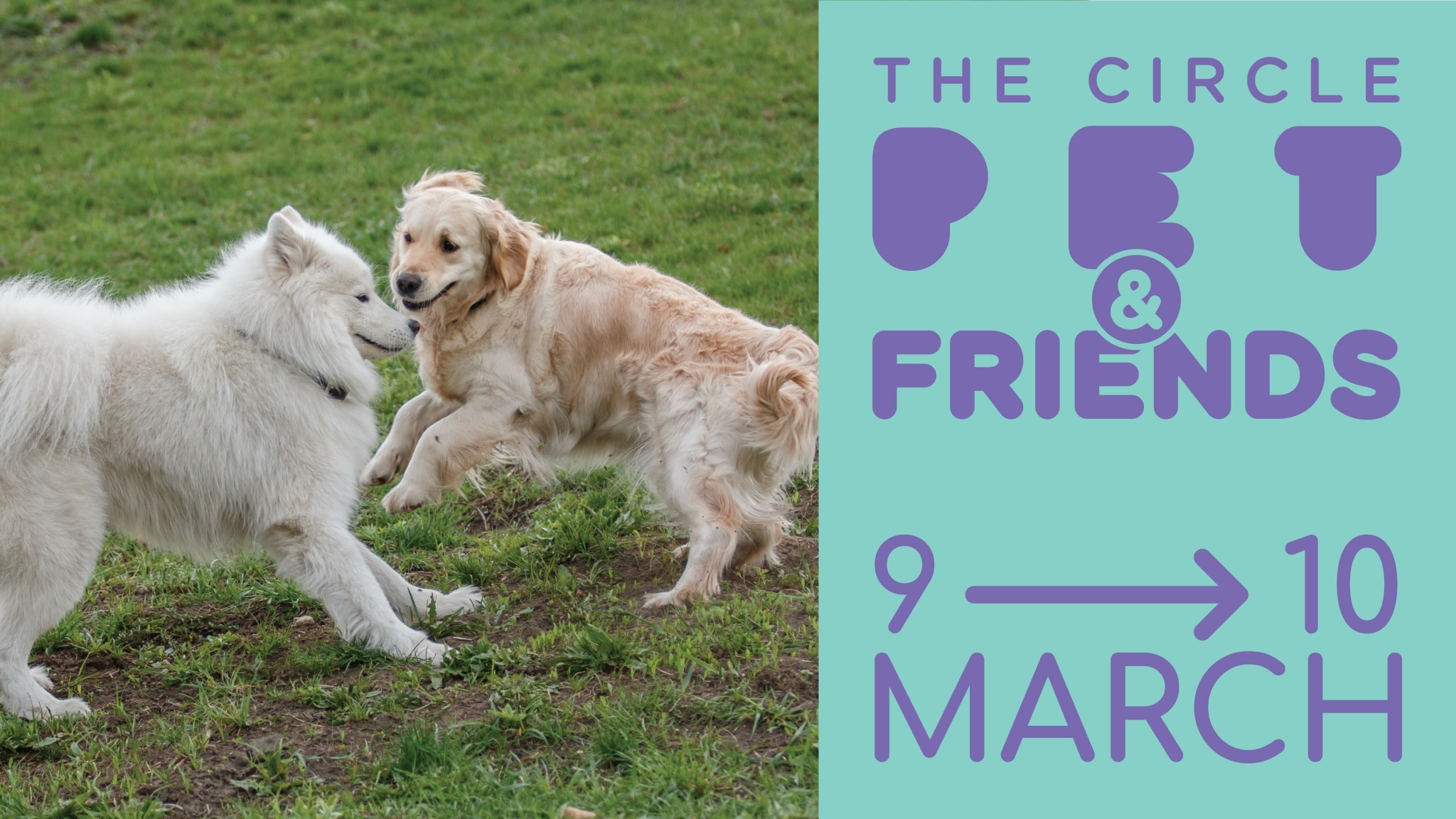 The Circle Pet & Friends | The Circle